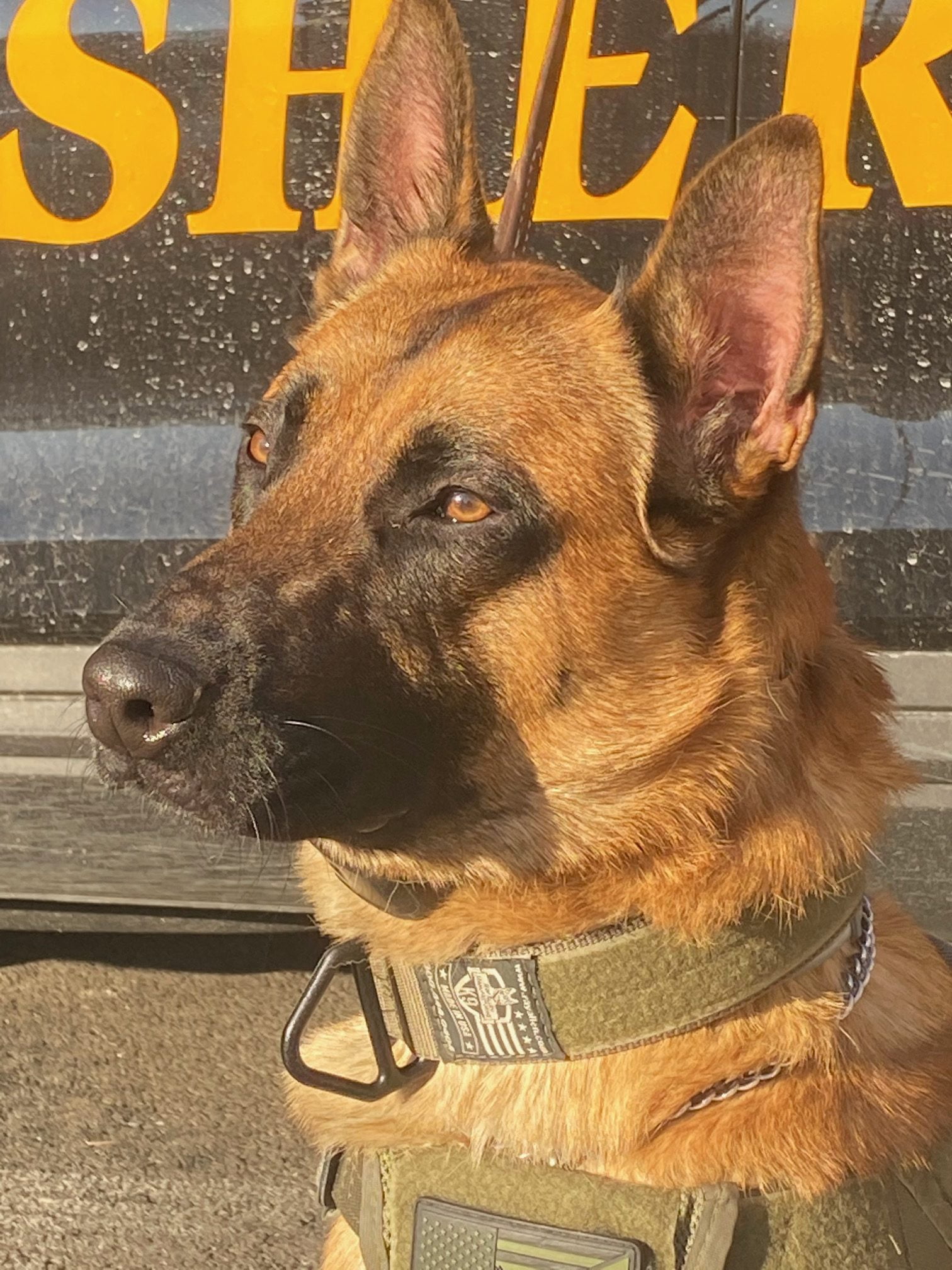 K-9 – Huron County Sheriff's Office